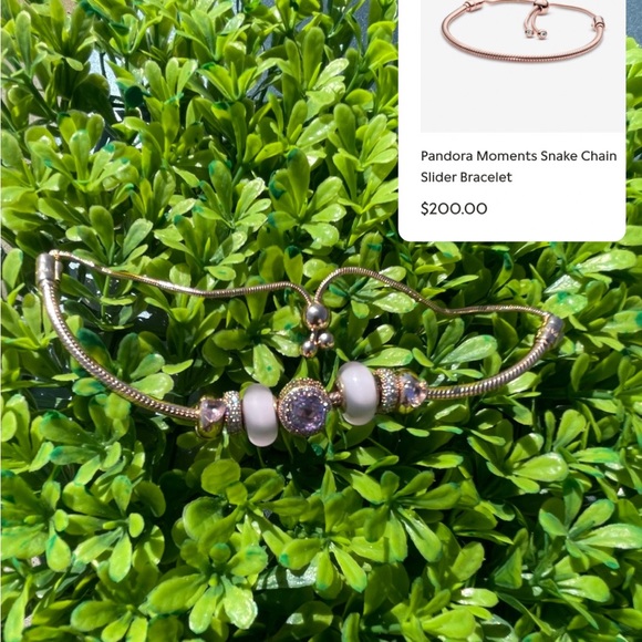 Pandora | Jewelry | Pandora Slider Snake Chain Comes With 7 Charms And ...
